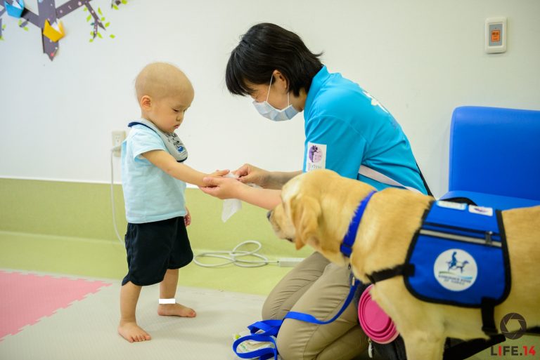 Puppy Training Program – Shine On! Kids