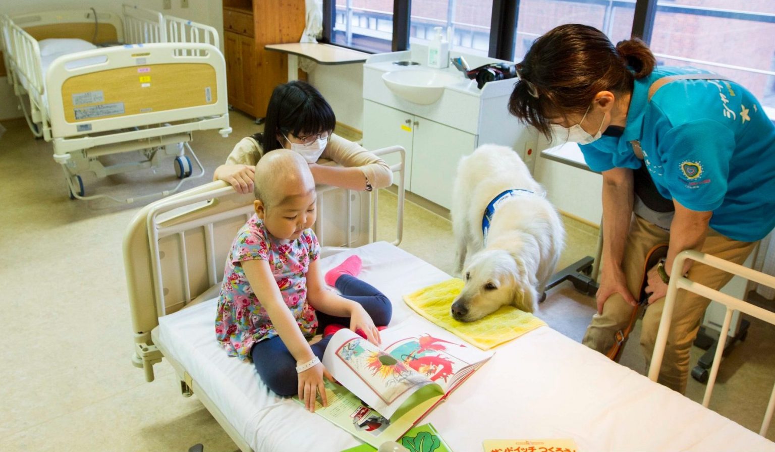 Hospital Facility Dogs Program – Shine On! Kids